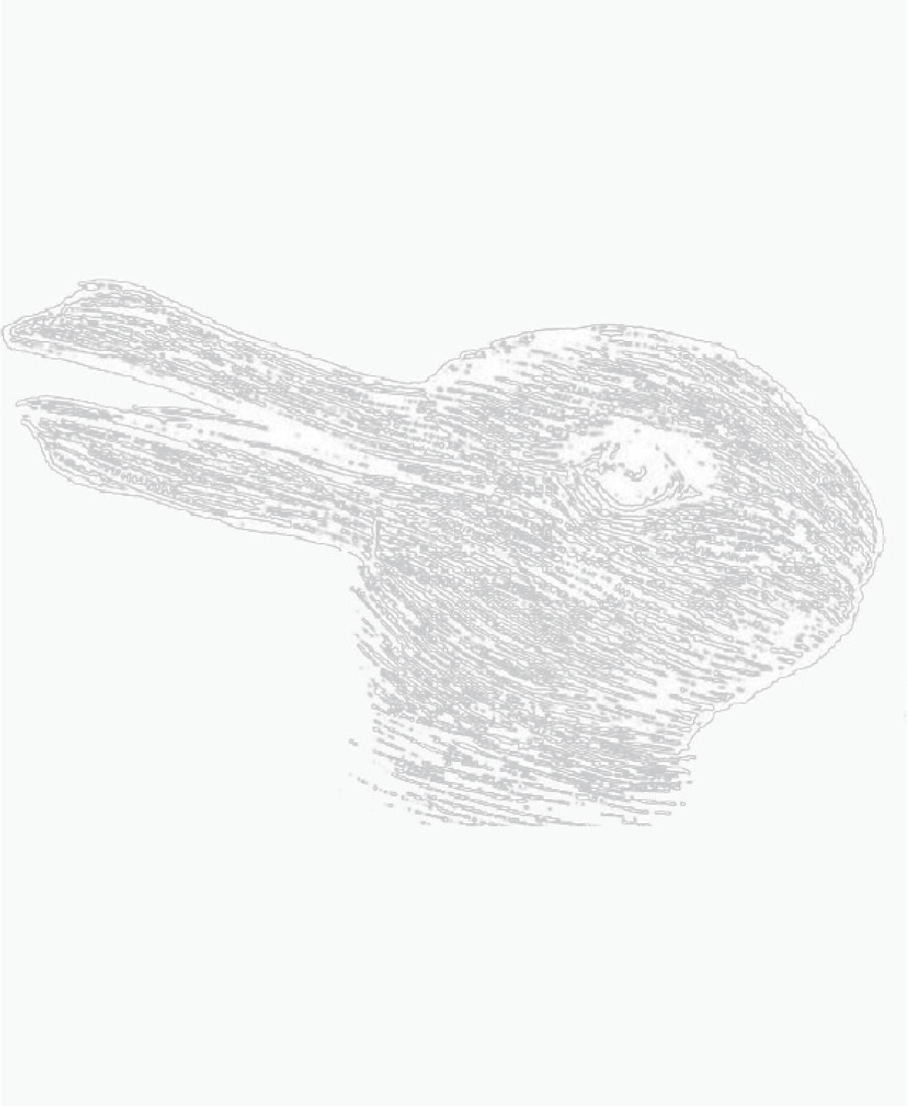 Perspectives | Ruth Williams